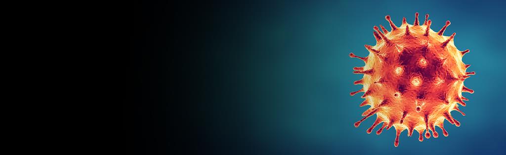 Molina Healthcare of Texas | Molina Healthcare Texas